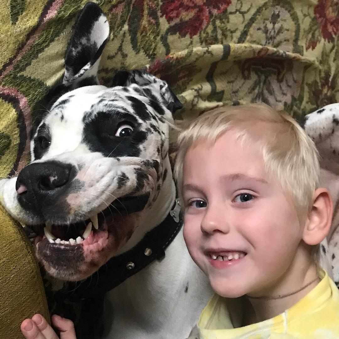 15 Photos That Tell You About All Emotions Of The Great Dane | PetPress