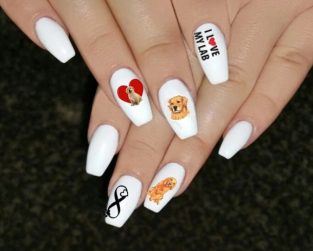 14 Best Nail Designs For Labrador Lovers - PetPress