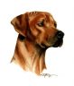 The 14 Most Creative Rhodesian Ridgeback Paintings | Page 3 of 3 | PetPress