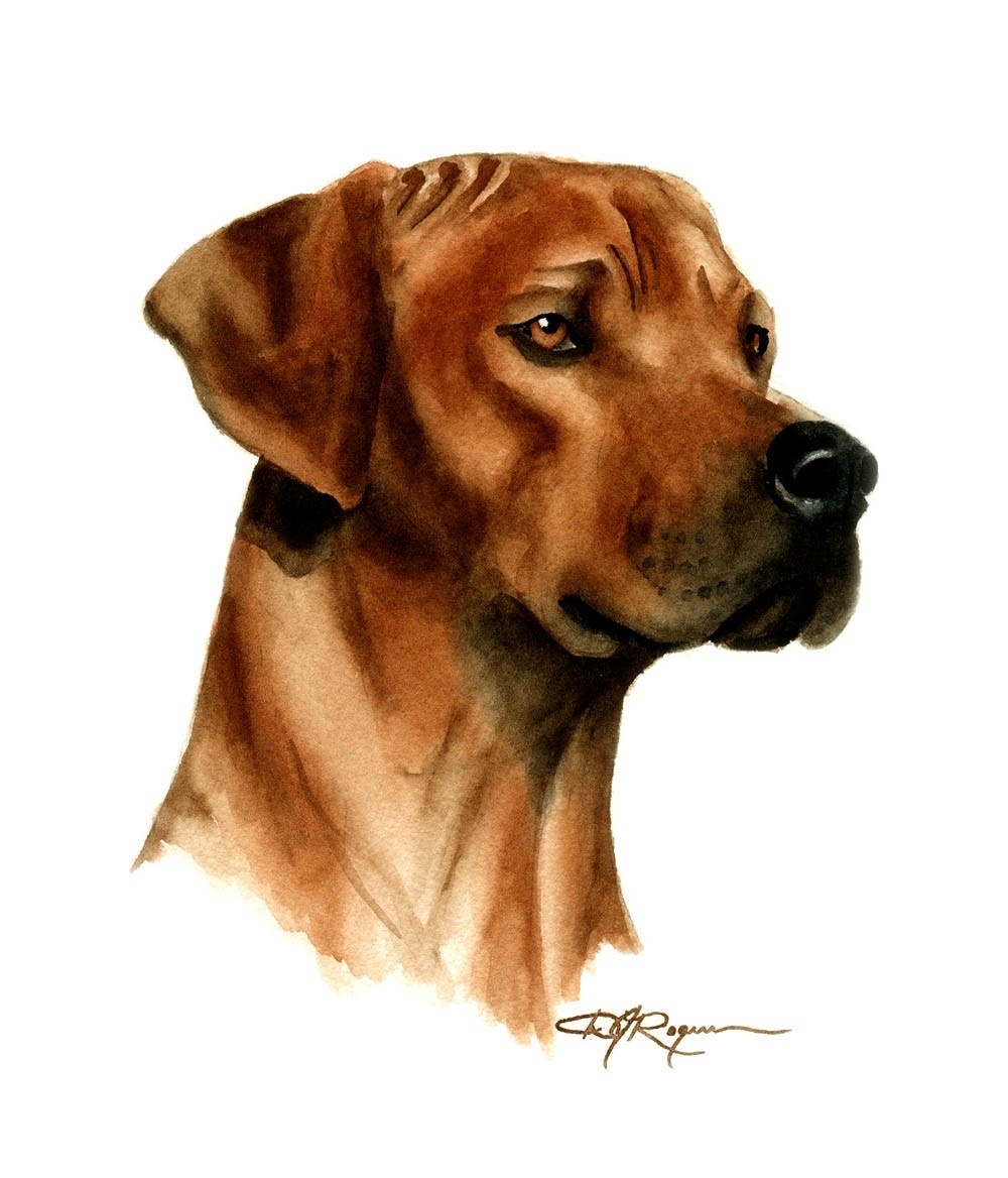 The 14 Most Creative Rhodesian Ridgeback Paintings | Page 3 of 3 | PetPress