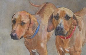 The 14 Most Creative Rhodesian Ridgeback Paintings | PetPress