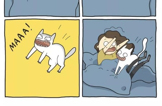 15 Funny Cat Pictures to Brighten a Bad Day | Page 2 of 3 | PetPress