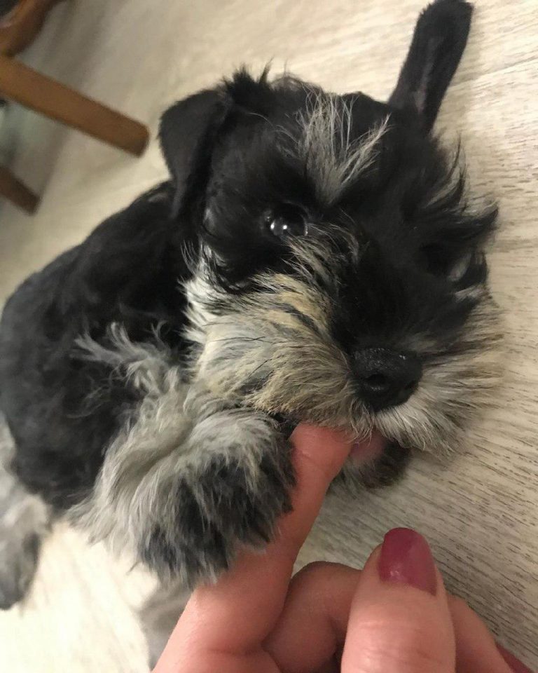 15 Photos That Will Show What Awaits You If You Take A Miniature ...