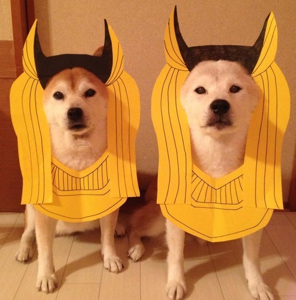 14 Funny Shiba Inu Costumes to Win at Halloween | Page 2 of 3 | PetPress