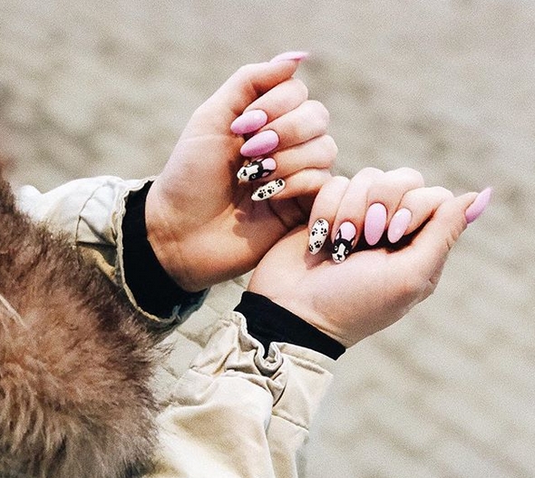 14 Trendy French Bulldog Manicure Ideas 2019-2020 - PetPress