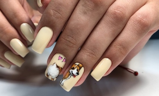 15 Interesting Corgi Manicure Design Ideas - PetPress