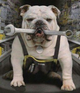 14 Dog Halloween Costumes Every Bulldog Parent Needs | Page 2 of 3 ...