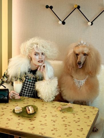 20 Reasons Why You Should Get Rid of Your Poodle Right Now | Page 2 of ...