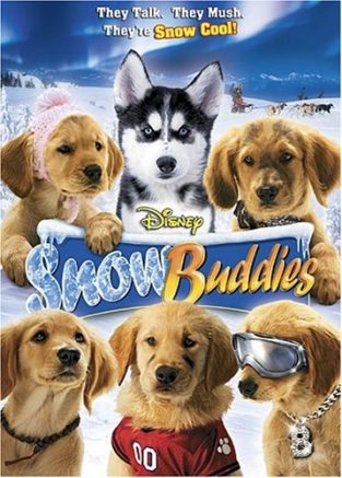 14 Dog Movies Every Husky Lover Needs to See | PetPress