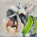 14 Fun Facts You Might Not Know About the Schnauzer | PetPress