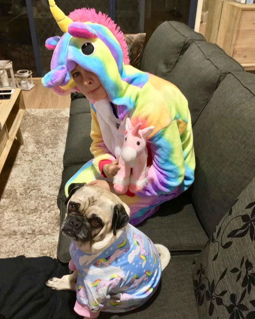 14 Reasons to Adore Pugs | PetPress