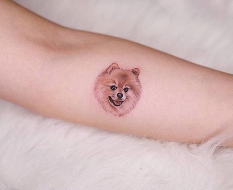 14 Awesome Tattoo Ideas For Pomeranian Owners | PetPress