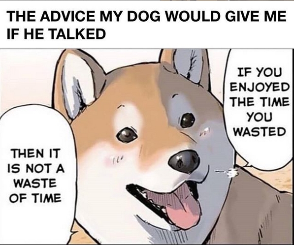 14 Funny Shiba Inu Memes That Will Make You Smile | Page 3 of 3 | PetPress
