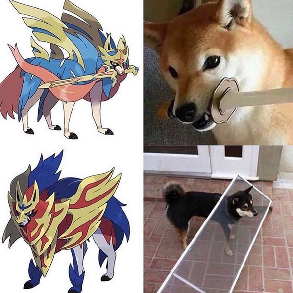 14 Funny Shiba Inu Memes That Will Make You Smile - Page 2 of 3 - PetPress