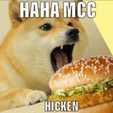 14 Funny Shiba Inu Memes That Will Make You Smile - PetPress