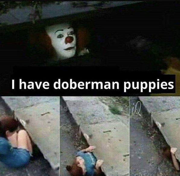 14 Funny Doberman Memes That Will Make You Smile! | Page 2 of 3 | PetPress
