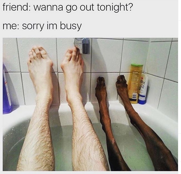 14 Funny Doberman Memes That Will Make You Smile! | Page 2 of 3 | PetPress