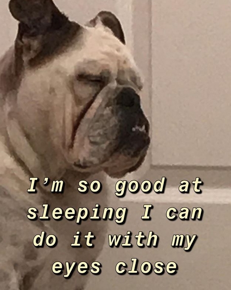 14 Funny Memes That You Totally Must Send to Your Friends Who Own ...