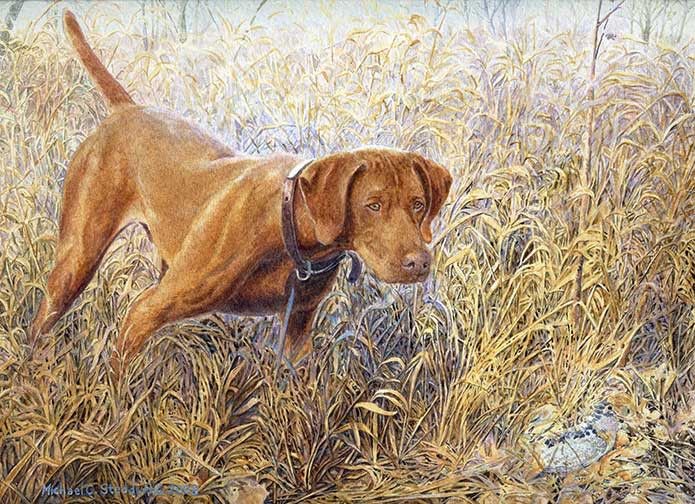 The 14 Brightest Vizsla Paintings | PetPress