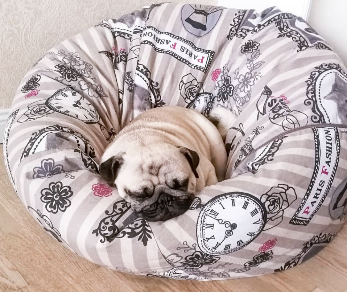 14 Photos Showing That Pugs Love To Sleep So Much! | PetPress