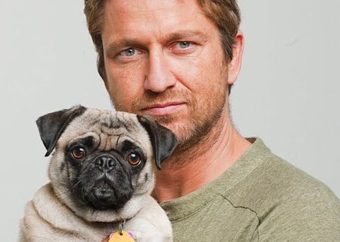 12 Celebrities Who Own Pugs - PetPress