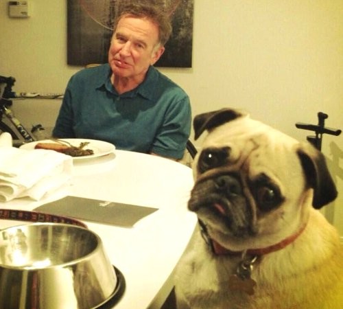 12 Celebrities Who Own Pugs | PetPress