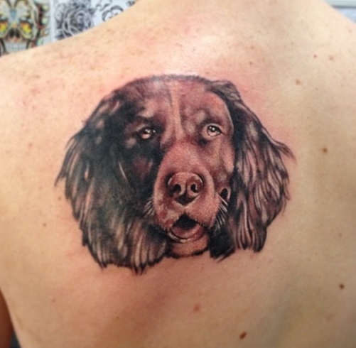 14 Amazing Tattoo Designs For Springer Spaniel Lovers | Page 2 of 3 ...