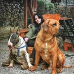 14 Surprising Facts About Cani Corsi You Need to Know | PetPress