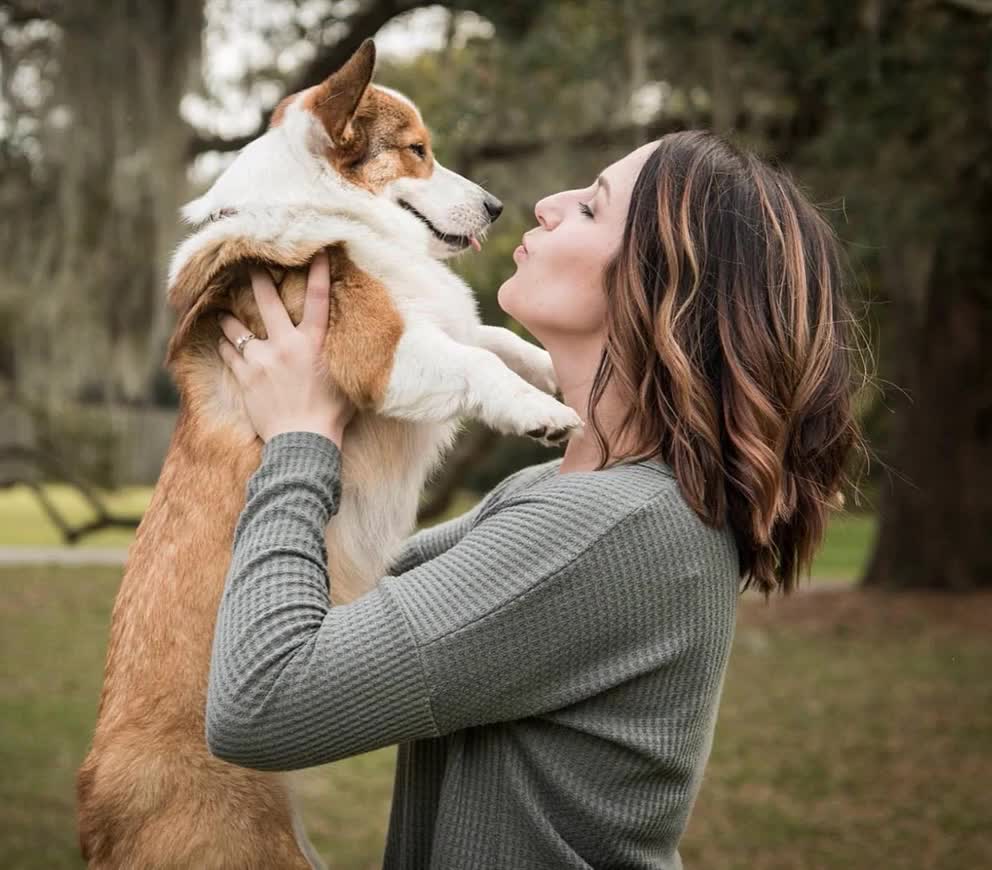 14 Wonderful Facts About Corgis | Page 2 of 3 | PetPress