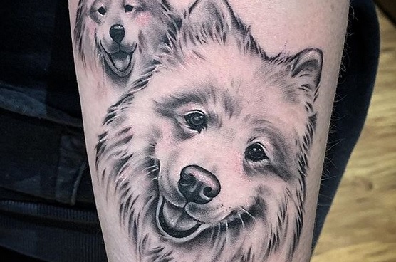 15 Tattoo Design Ideas For Samoyed Lovers - PetPress