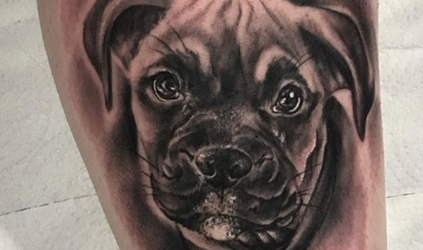 14 Realistic Boxer Tattoos Inspired By The True Friendship - PetPress