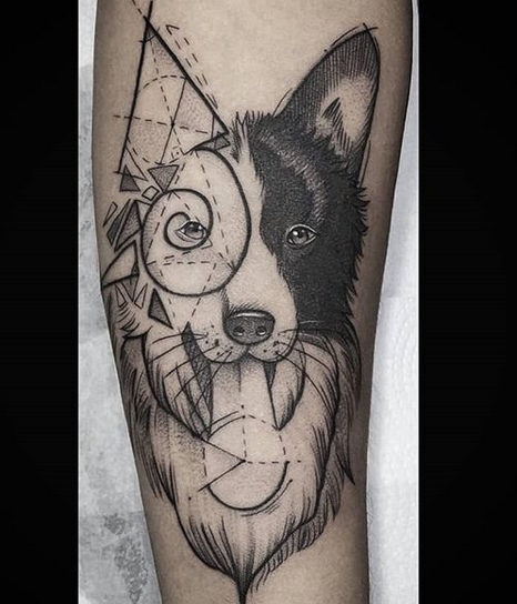 14 Dog Tattoo Ideas For Border Collie Lovers - PetPress