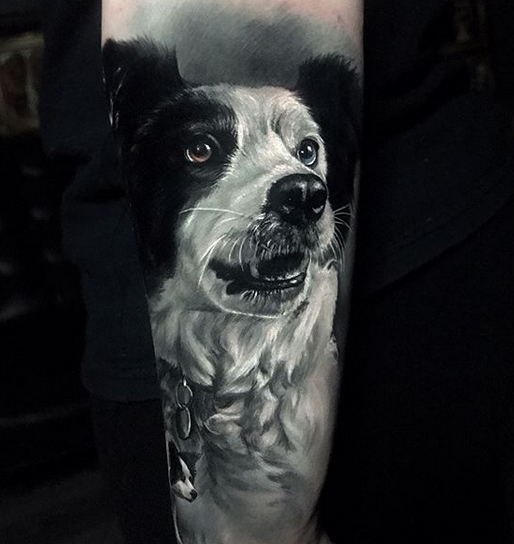 14 Realistic Border Collie Tattoos For True Breed Lovers | PetPress