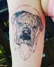 14 Unusual Dog Tattoos For Boxer Lovers | PetPress