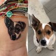 13 Realistic Tattoos For Jack Russell Terrier Lovers | PetPress