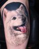 14 Samoyed Tattoos to Celebrate Your Four-Legged Best Friend - PetPress
