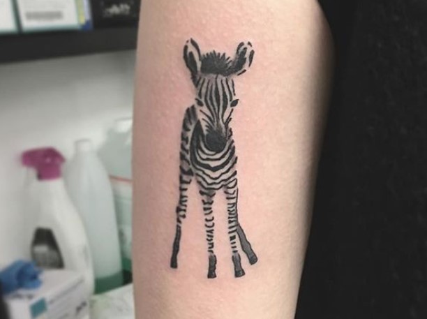 Top 50 Best Zebra Tattoo Designs | PetPress