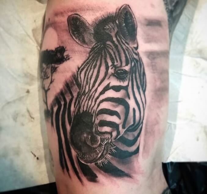 Top 50 Best Zebra Tattoo Designs | PetPress