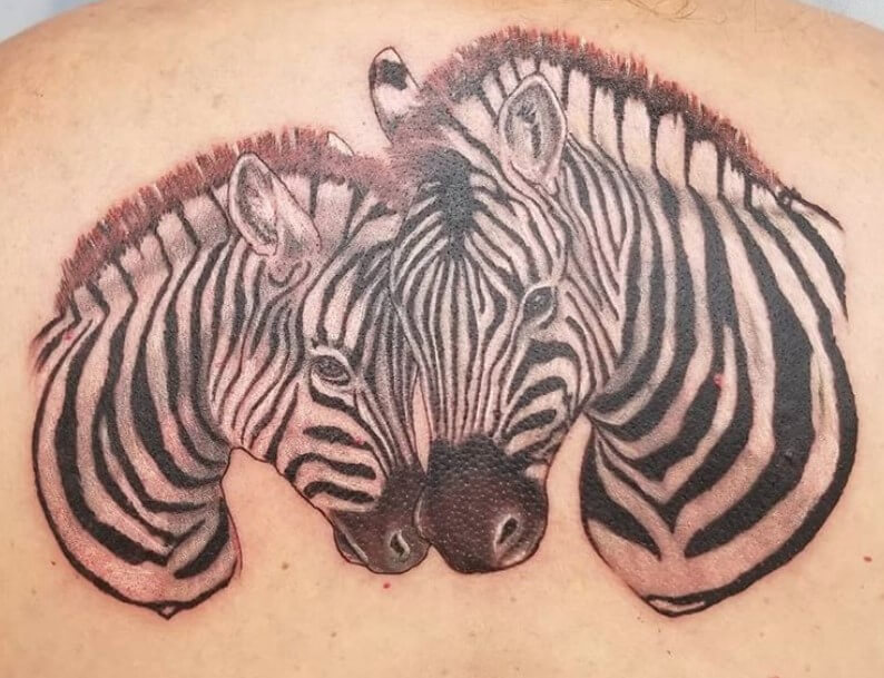 Top 50 Best Zebra Tattoo Designs | PetPress