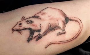 Top 50 Rat Tattoo Design Ideas | PetPress