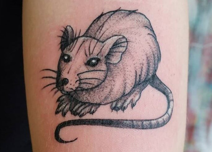 Top 50 Rat Tattoo Design Ideas | PetPress