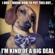 14 Funny Dachshund Memes That Will Make You Laugh! | PetPress
