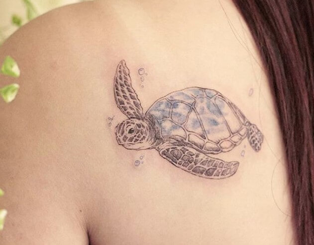 Top 60 Best Turtle Tattoo Designs | PetPress