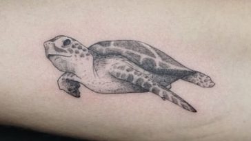 Top 60 Best Turtle Tattoo Designs | PetPress