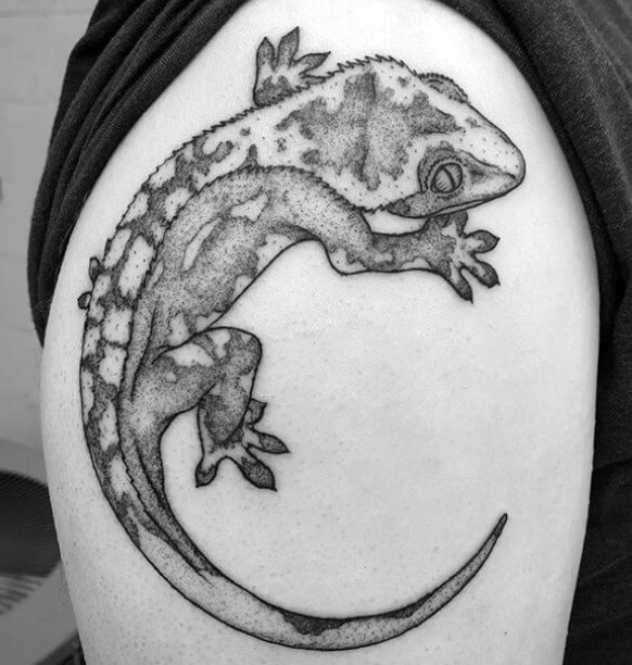 50 Coolest Gecko Tattoo Designs | PetPress