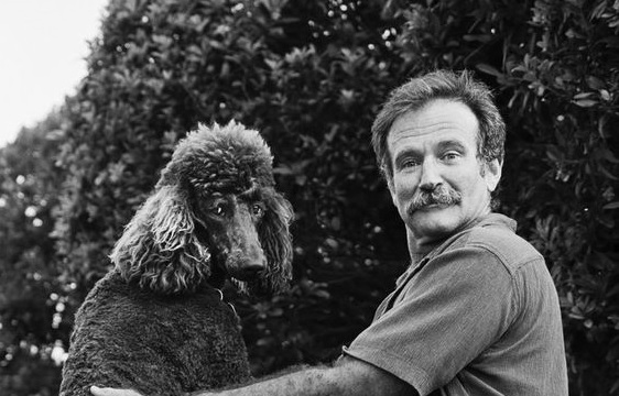 20 Beautiful Photos Of Celebrities With Poodles - PetPress