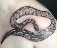 33 Coolest Python Tattoo Designs | PetPress
