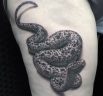 33 Coolest Python Tattoo Designs - PetPress