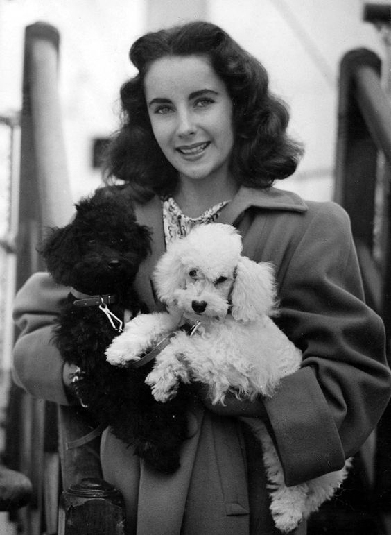 20 Beautiful Photos Of Celebrities With Poodles | Page 4 of 4 | PetPress