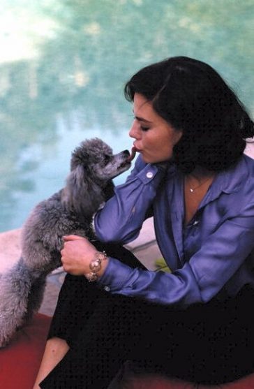 20 Beautiful Photos Of Celebrities With Poodles - PetPress